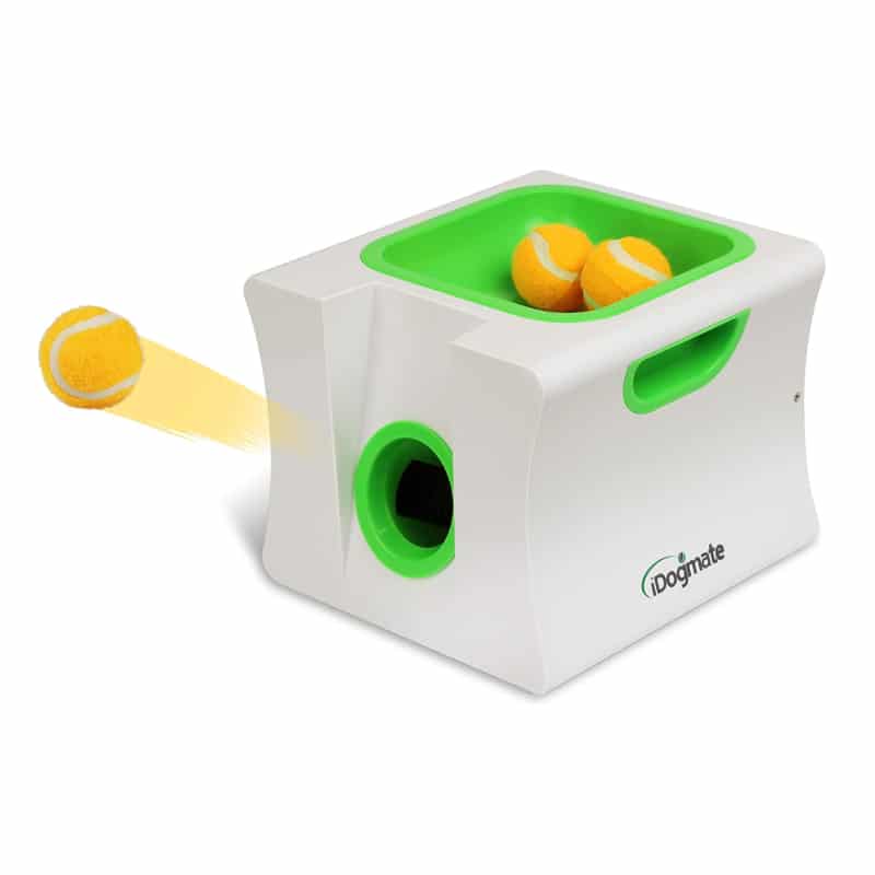 Best 5 Dog Ball Launchers of 2025: Keep Your Pup Active & Entertained