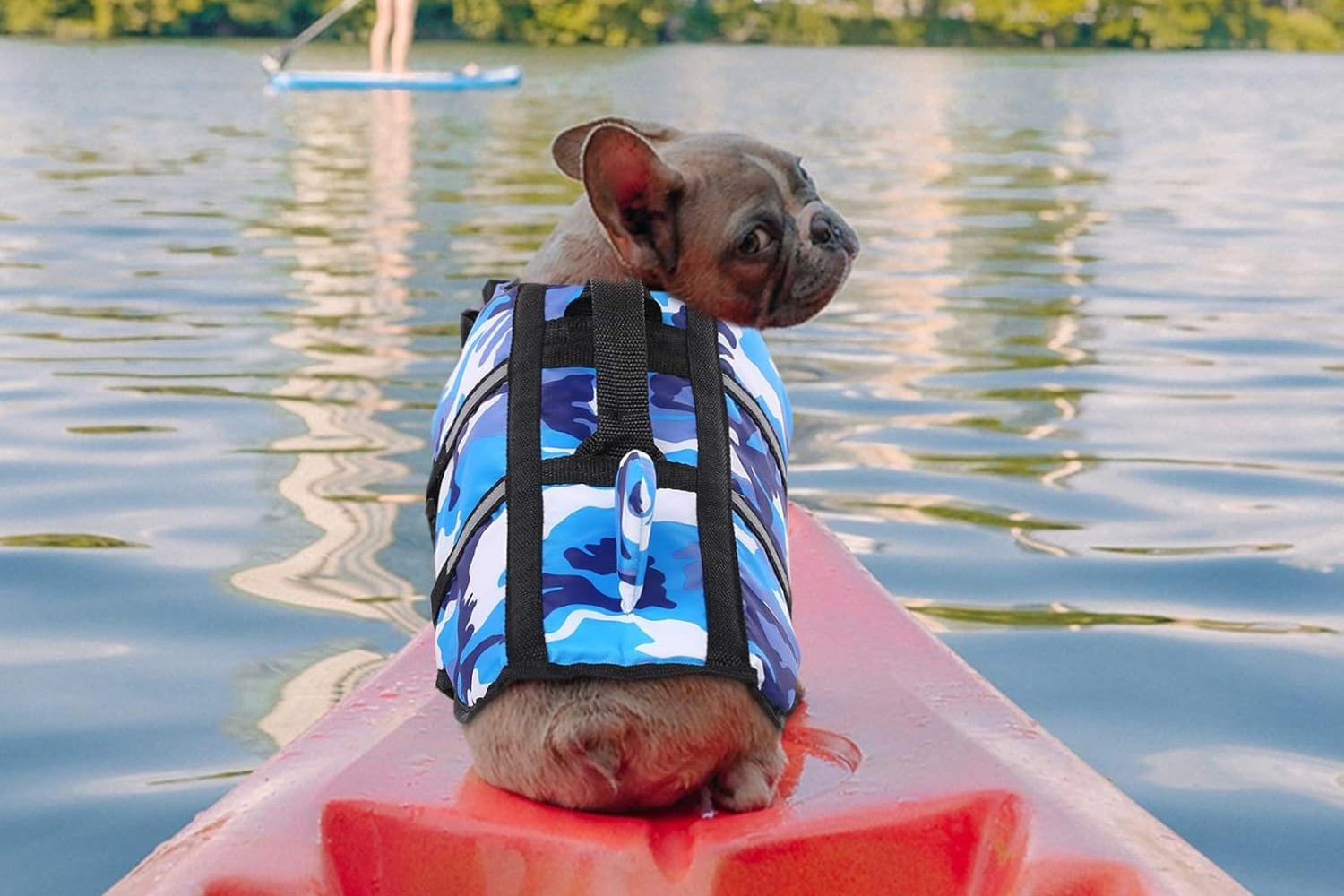 Best 5 Dog Life Jackets of 2025: Ultimate Safety Guide for Water-Loving ...