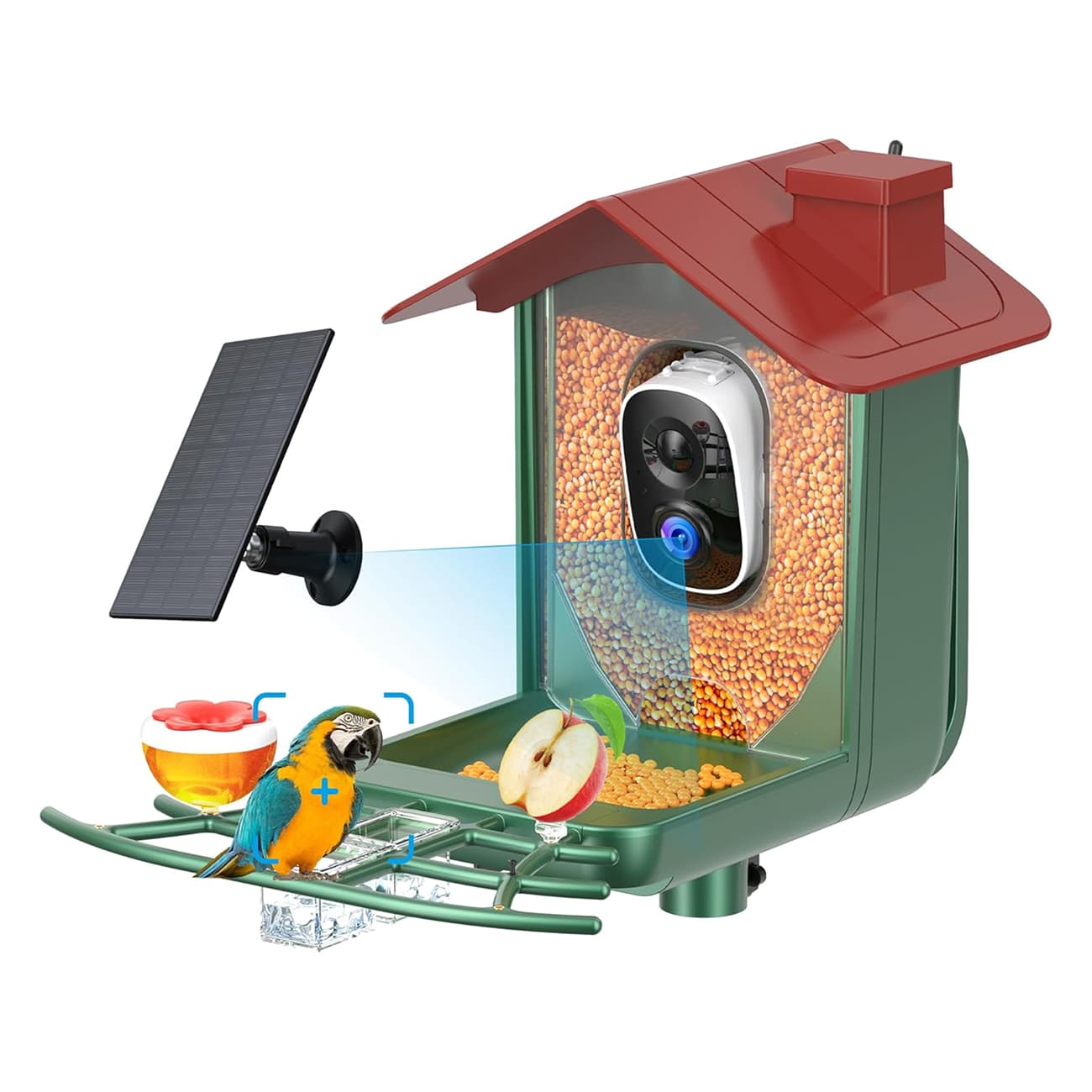 Best 5 Bird Feeder Cameras of 2025: Expert Reviews