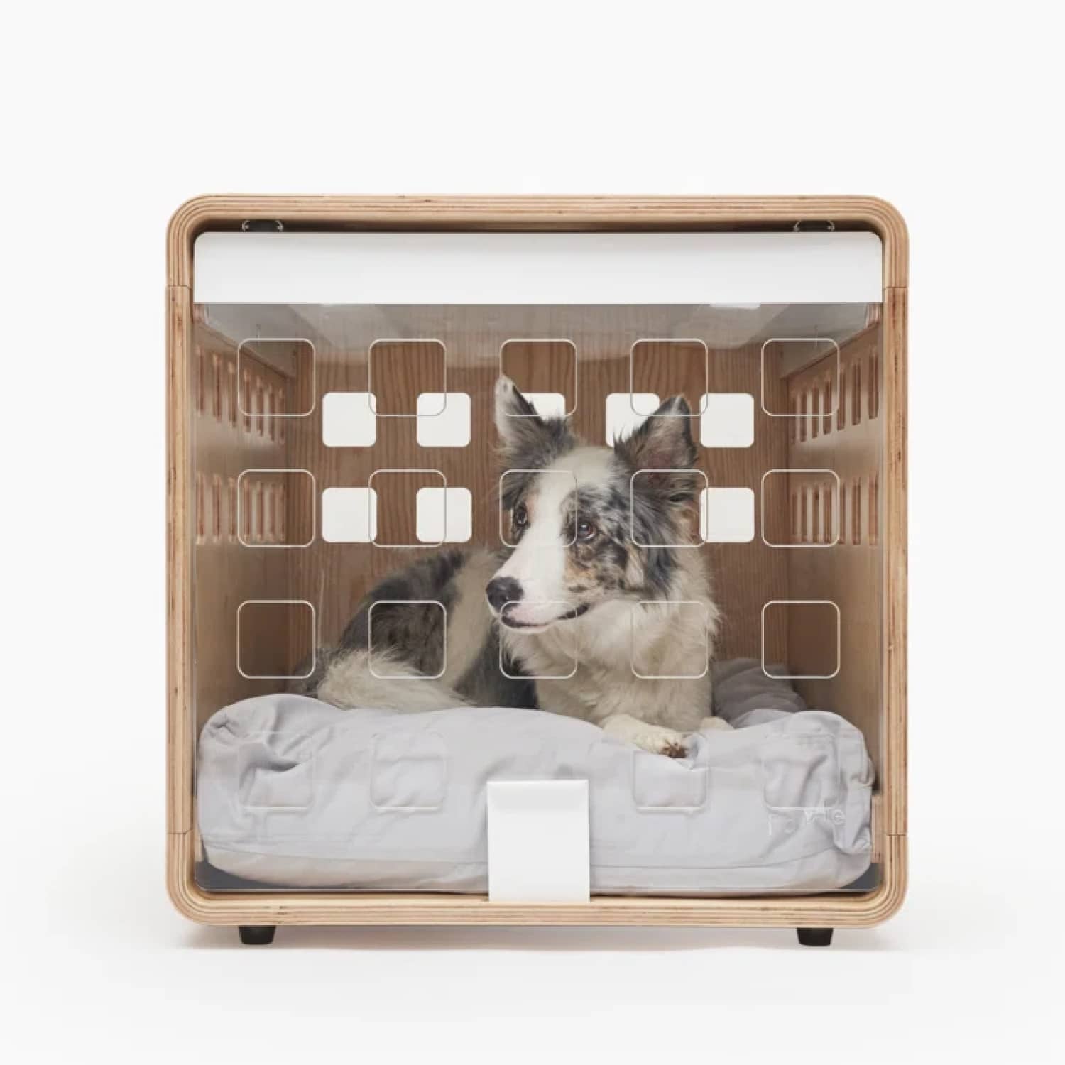 5 Best Dog Kennels of 2026: Expert Reviews & Buying Guide for Pet Safety
