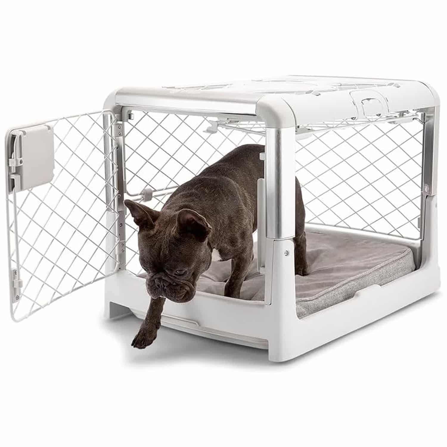 5 Best Dog Kennels of 2026: Expert Reviews & Buying Guide for Pet Safety