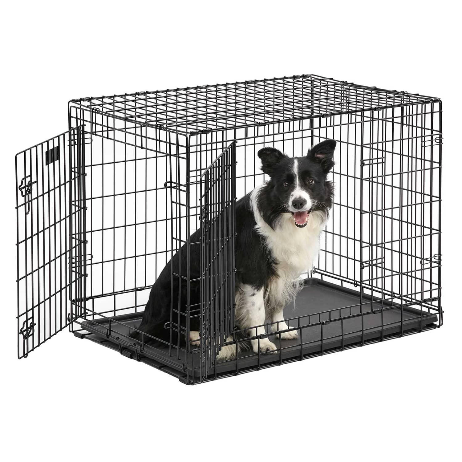 5 Best Dog Kennels of 2026: Expert Reviews & Buying Guide for Pet Safety