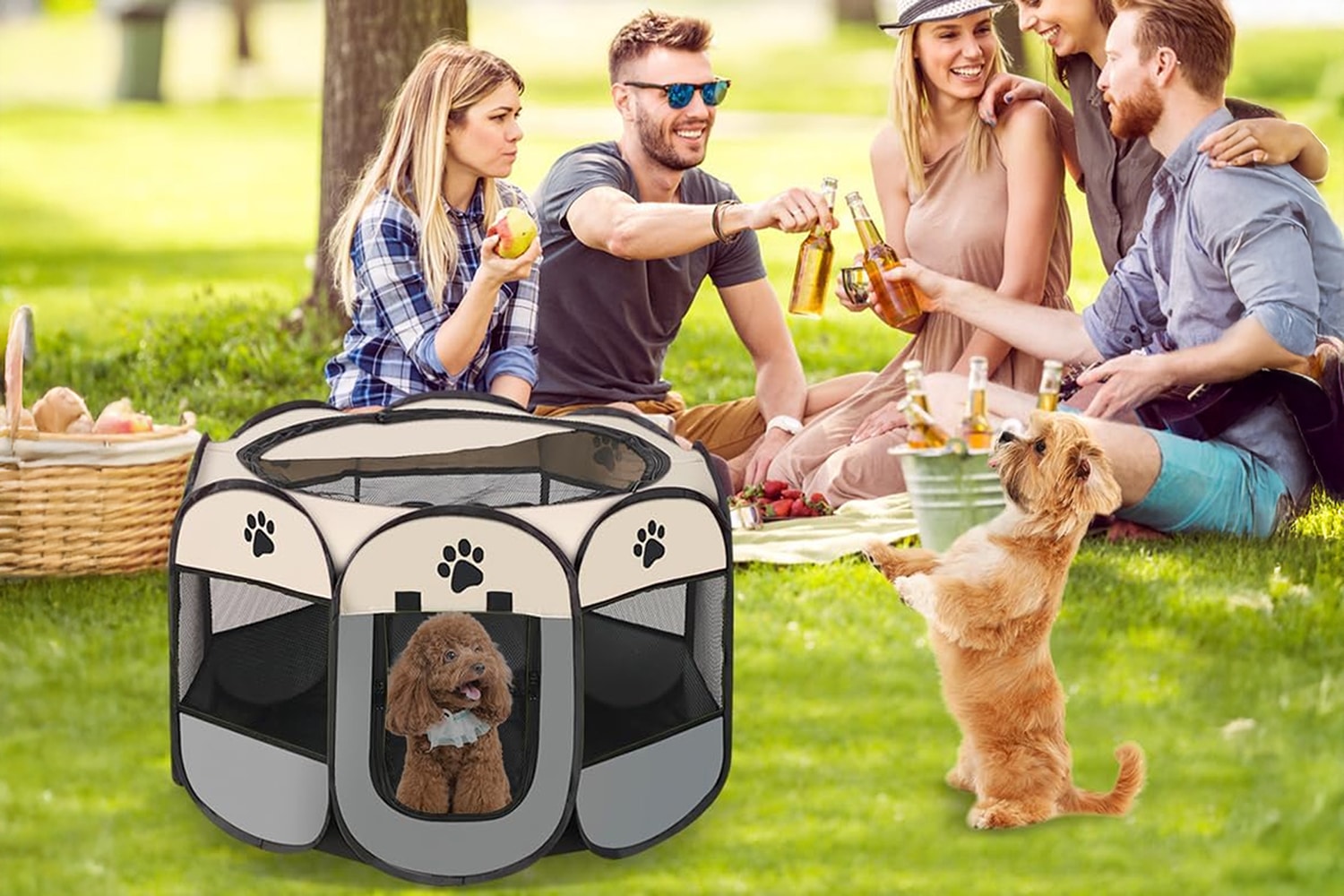5 Best Dog Kennels of 2026: Expert Reviews & Buying Guide for Pet Safety